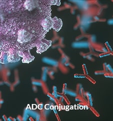 Antibody Drug Conjugates ADC Chemical Linker Synthesis Manufacturer ...