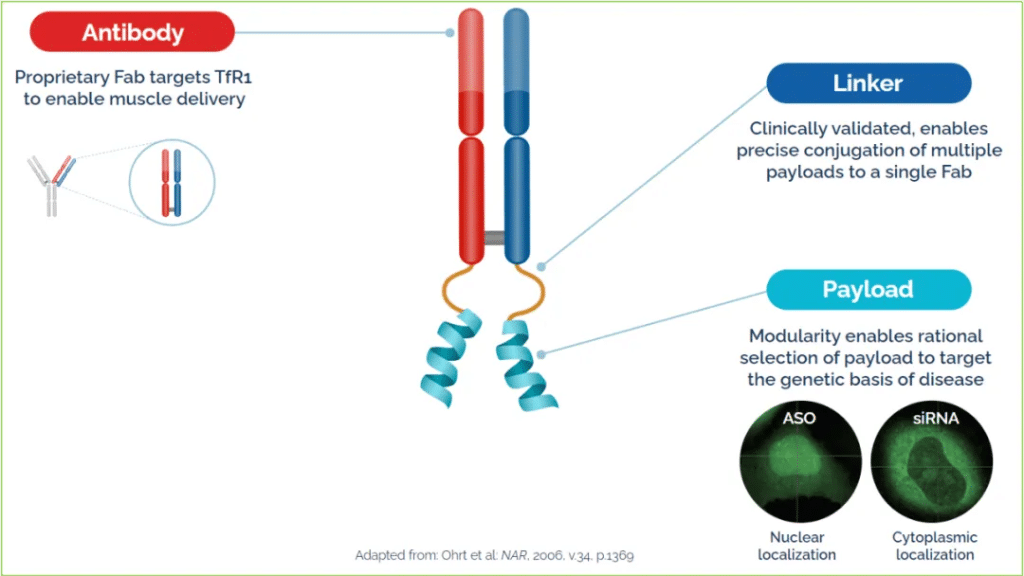 Secondary Evolution of ADC Drugs | AxisPharm