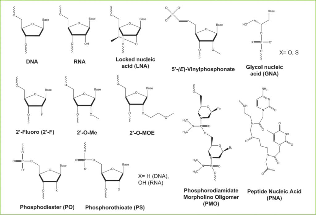 Secondary Evolution of ADC Drugs | AxisPharm