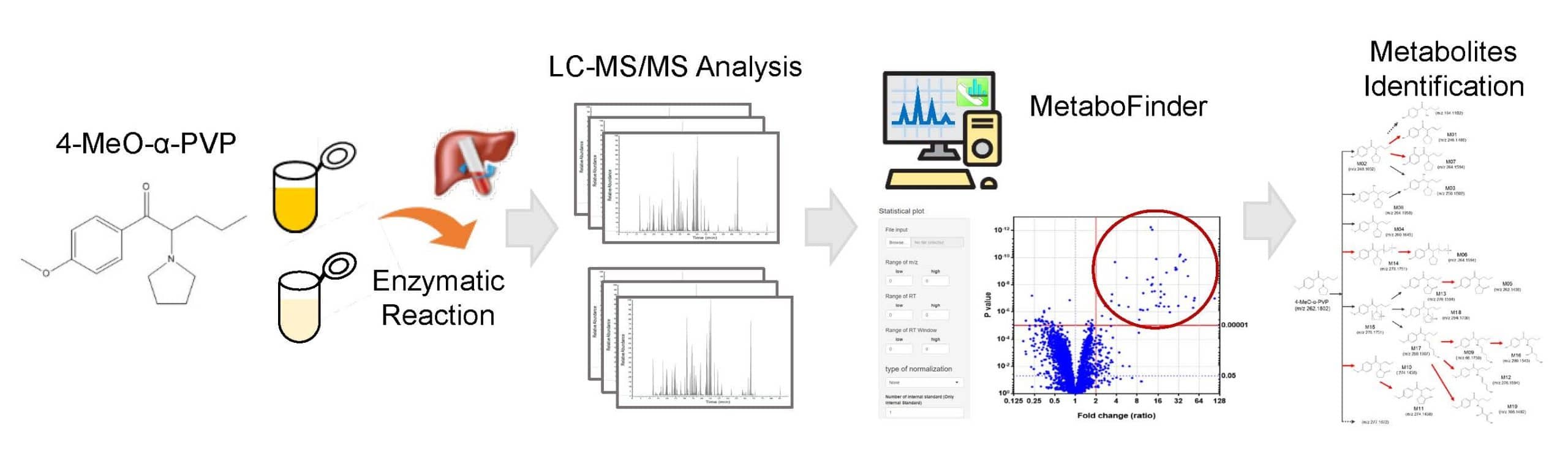 Untargeted Metabolomics Services | AxisPharm